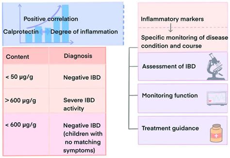 The Role Of Calprotectin In The Diagnosis And Treatment Of Inflammatory