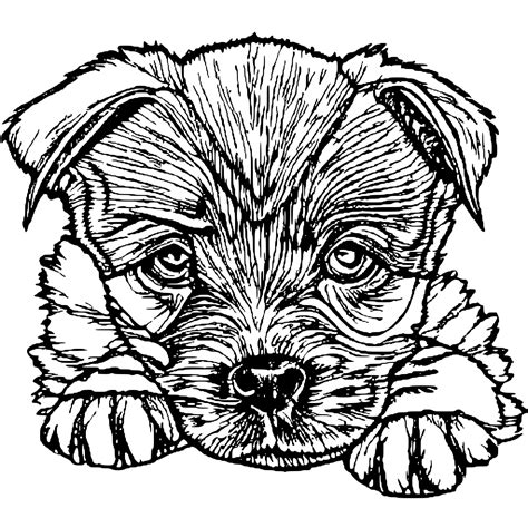 Desenho De Cachorro Para Colorir Explore A Adrenalina Dos Jogos Online Com Ourobet