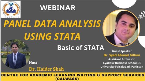 Panel Data Analysis Using Stata Youtube