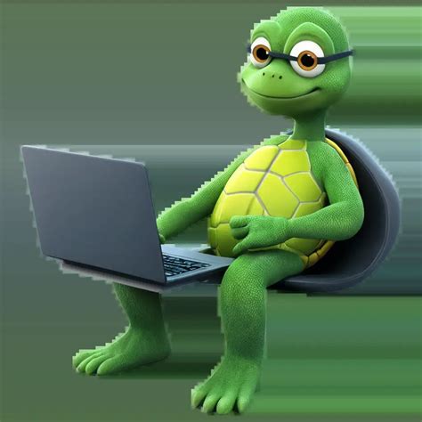 Fun And Coders Cartoonish Turtle Png Enjoy Software Tech Chillout Png