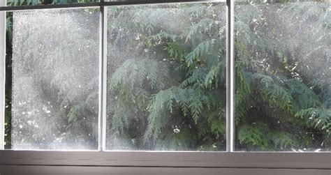 Mennonite Girls Can Cook Life Saver Window Cleaner