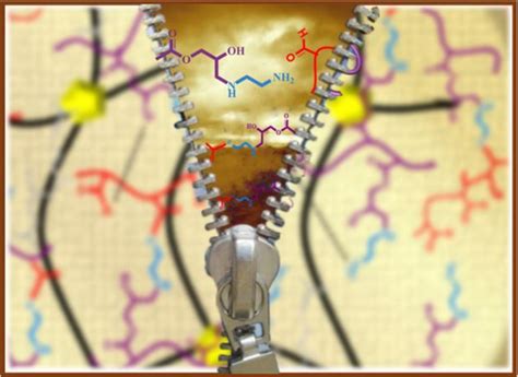 Highly Stretchable Self‐adhesive And Self‐healable Double Network