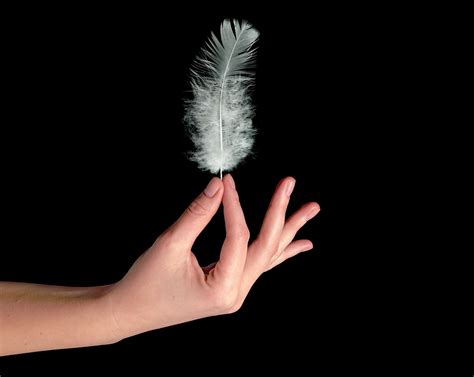 Session Details Asheville Tickle Therapy