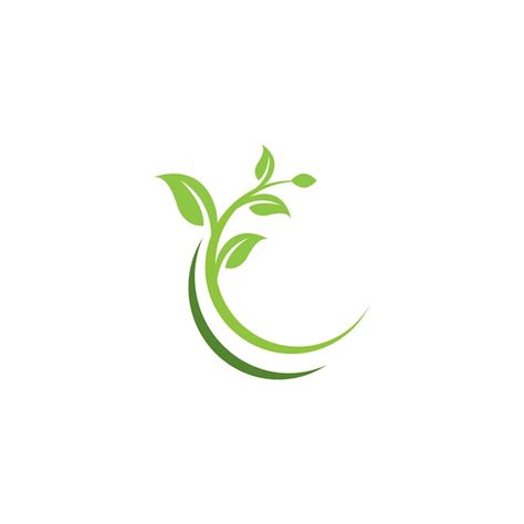 Premium Vector Tree Leaf Vector Icon Illustration Design