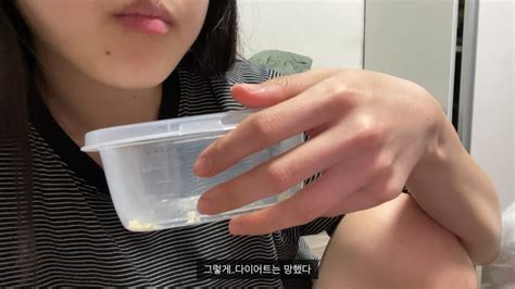 다이이어트 망하는 브이로그 Youtube