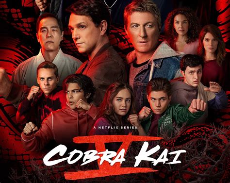 Cobra Kai Season 5 Release Date How To Watch It Online Telegraph Star