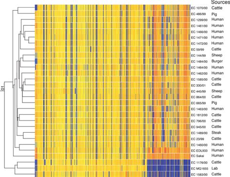 Pearson Correlation Coefficient Comparison Of The Cgh Microarray Download Scientific Diagram