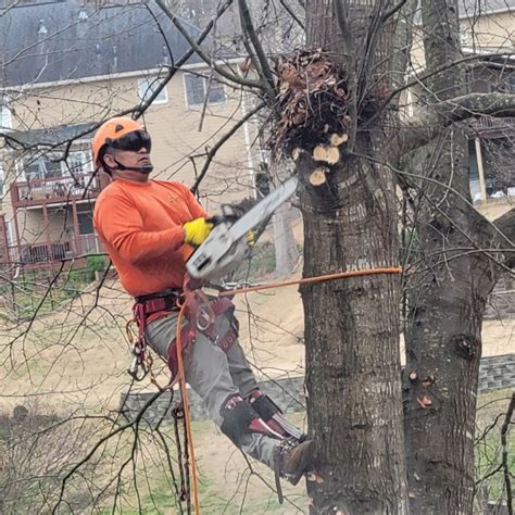 나무자릅니다 자르고다듬고 축대 배수로 공사 조경 디자인 펜스 광고 Gtksa