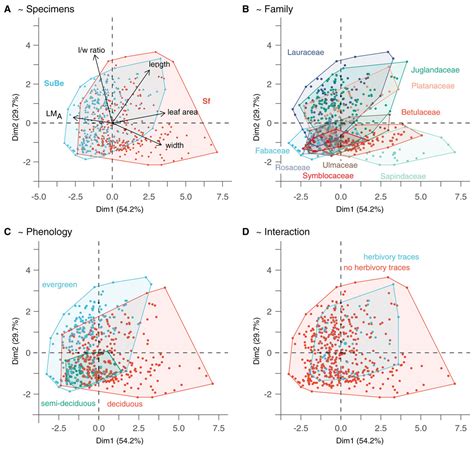 An Integrated Leaf Trait Analysis Of Two Paleogene Leaf Floras Peerj