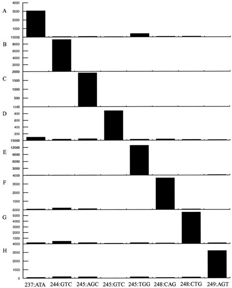Detection Of Tp53 Exon 7 Mutations In A Multiplex Reaction Each Download Scientific Diagram