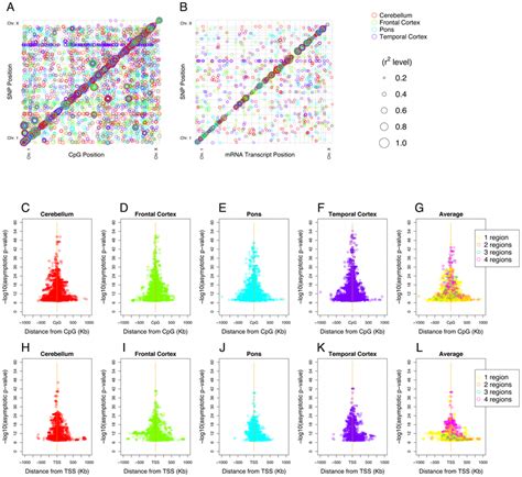 Quantitative Trait Loci Qtl For Cpg Methylation Methqtl Mrna