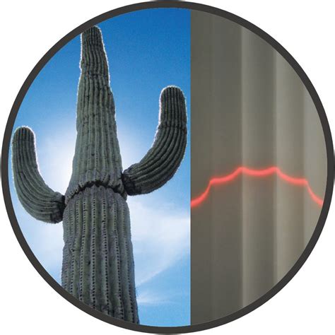 Research ‒ Flexlab ‐ Epfl