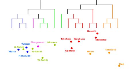 multi dimensional scaling associated to the hierarchical clustering of