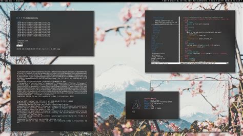 [dwm] daily rails dev setup r unixporn