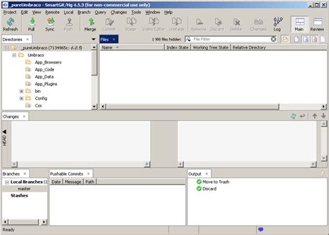 Updating Umbraco CMS Stefantsov Programming