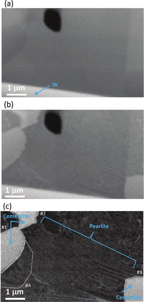 A X Ray Absorption Image At 280 0 Ev Pre Edge B X Ray Absorption Download Scientific