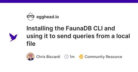 Installing The Faunadb Cli And Using It To Send Queries From A Local
