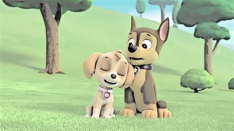 Fanarts Skase Skye And Chase Paw Patrol Fan Art Fanpop
