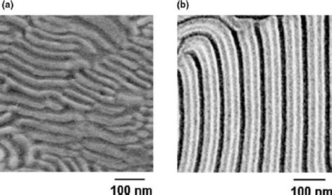 Comparison Of Multiphase Structure For Two Kinds Of Tetrablock Download Scientific Diagram