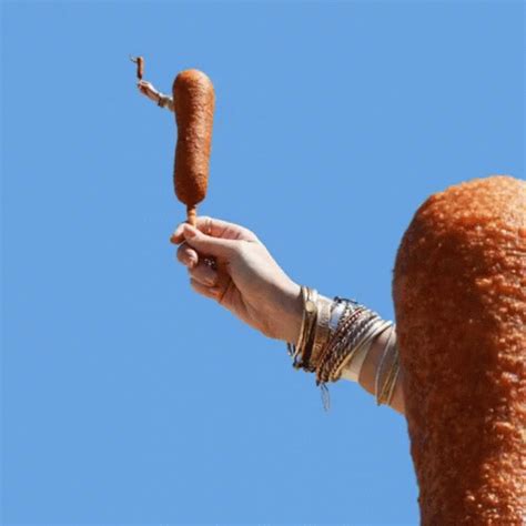 Corn Dogs  Corn Dogs Discover And Share S