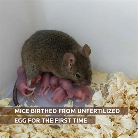 Dheeraj Pathak Posted On Linkedin