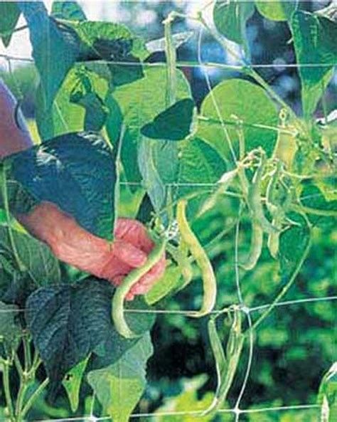 Vegetable Trellis Netting