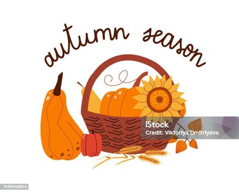 바구니에 담긴 가을 야채 수확 수집 시간 가을 시즌 따옴표 비문과 화려한 구성 가을에 대한 스톡 벡터 아트 및 기타 이미지 가을 건강한 생활방식 계절 Istock