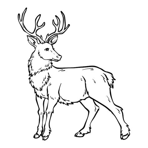 Herten Svg Afbeeldingen Gratis Downloaden Op Freepik