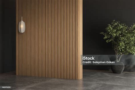 콘크리트 바닥 나무와 벽 배경 식물 램프 태양 광선 정면도 모형을 위한 공간이 있는 빈 방 3d 렌더링 거실에 대한 스톡 사진