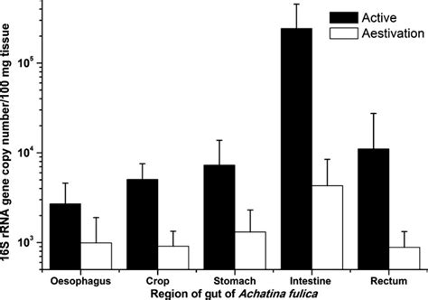 Qpcr Analysis Of Total Bacterial Load In The Different Gi Tract Regions