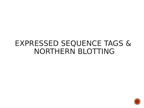 PPTX Expressed Sequence Tags NORTHERN BLOTTING DOKUMEN TIPS