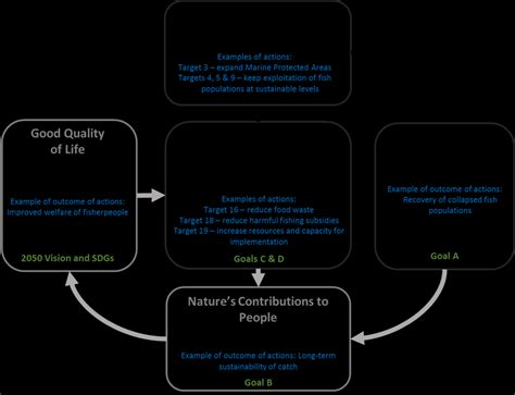 A Simplified Version Of The Ipbes Conceptual Framework Illustrating Key Download Scientific
