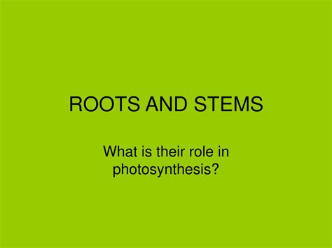 PPT ROOTS AND STEMS PowerPoint Presentation Free Download ID