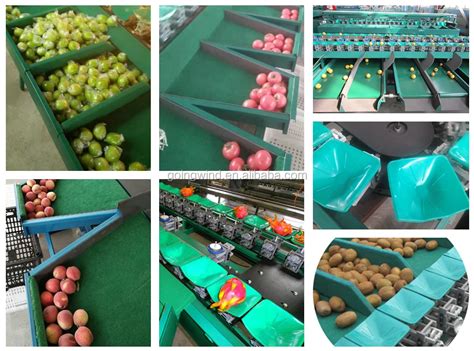 Automatic Onion Size Grading Sorting Machine Auto Industrial Onions Sizing Sorter Grader