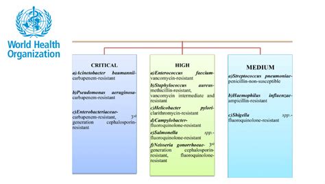 Bacterial Pathogens Priority List Updated By Who Gktoday