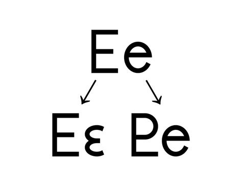 Lioconcha Hieroglyphica R Neography
