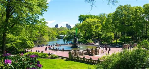 About Us Central Park Conservancy