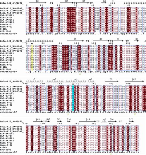 structure based sequence alignment of n 01801 and eight different