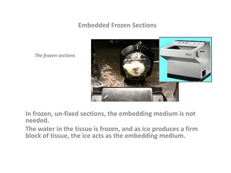PPT Chapter Automation Infiltration And Embedding PowerPoint Presentation ID
