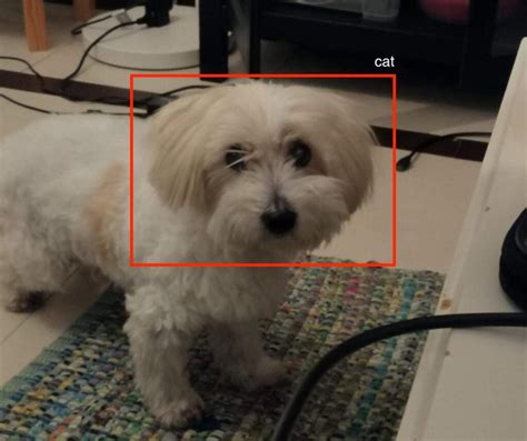 understanding your neural network s predictions towards data science