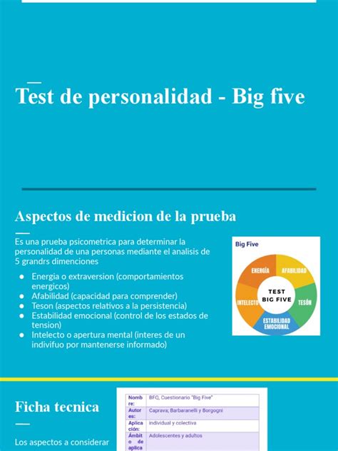 Test De Personalidad Big Five Ficha Técnica Pdf