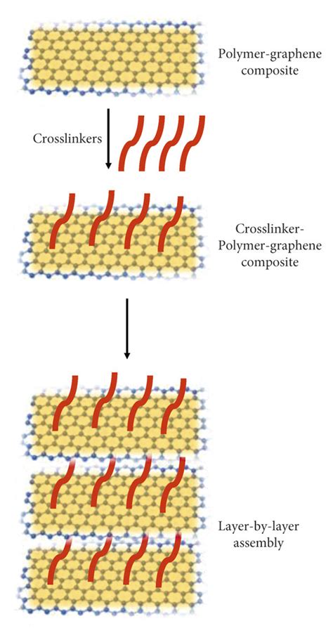 A Diagrammatic Illustration Of Layer By Layer Self Assembly Technique