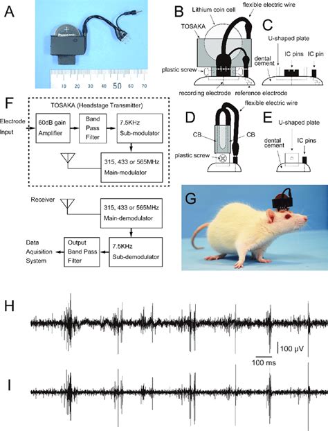 Overview Of The Wireless Telemetry System A Wireless Telemetry Download Scientific Diagram