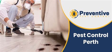 Pest Control Perth