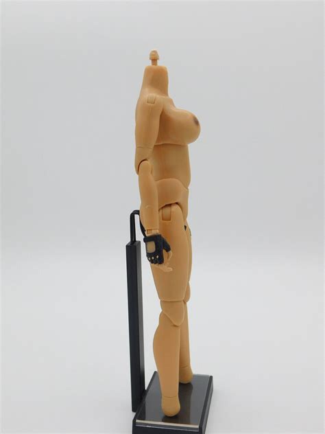 Triad Toys 16 Female Alpha Action Figure Body Customized Anatomical
