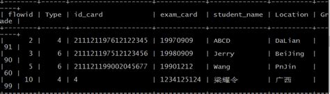 Resultset的getint和getstring方法详解 Csdn博客