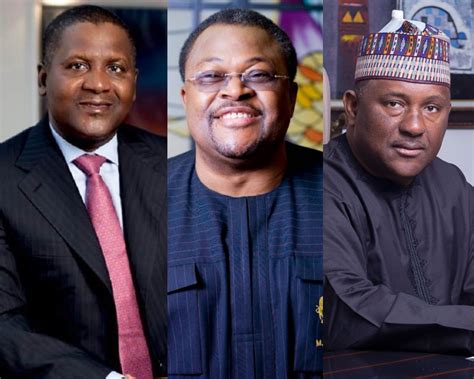 Data Analysis Project Nigerian Billionaires Analysis With Python By