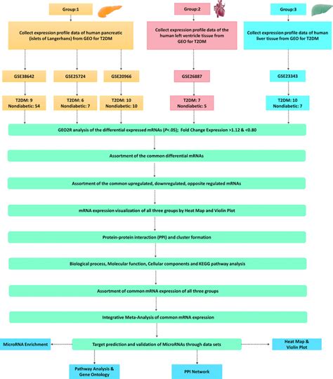 Flowchart Of Data Processing And Analysis Geo Gene Expression Download Scientific Diagram