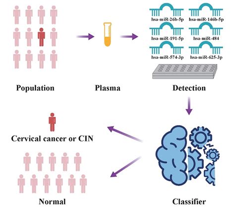6 Circulating Mirnas Can Be Used As Non Invasive Biomarkers For The