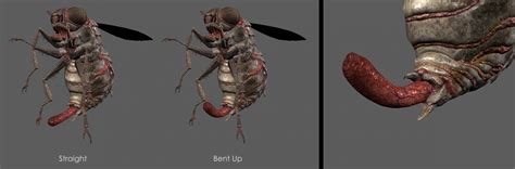 Commonwealth Creature Features And Animations By Leito Fallout 4 Adult Mods LoversLab
